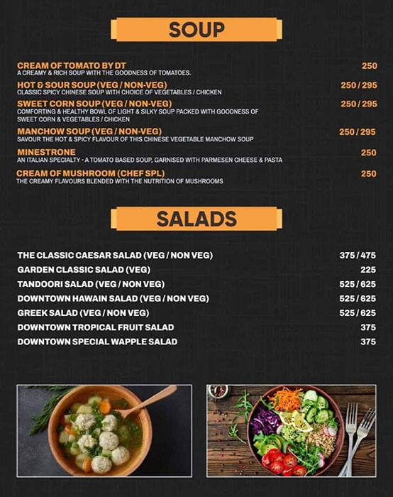 Menu of Downtown Village, Hauz Khas Village, New Delhi