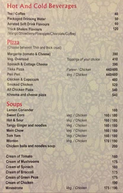 Menu of Fionaa Lounge And Restaurant, Dharampeth, Nagpur