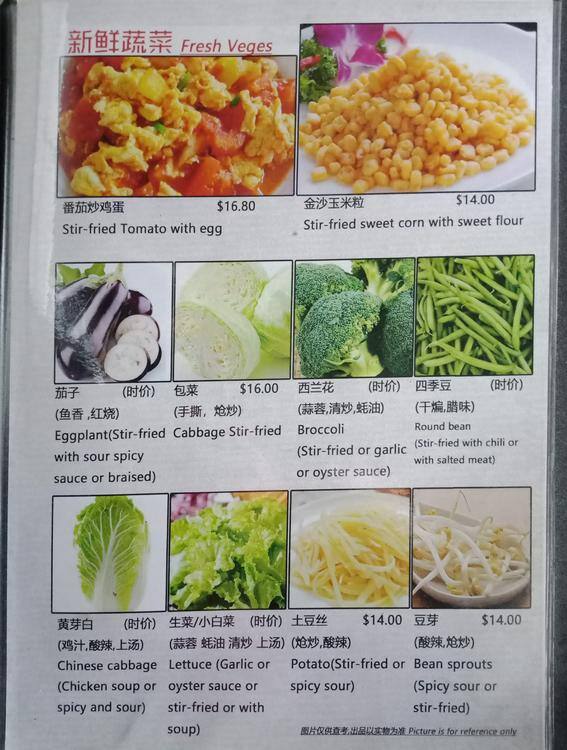 Menu at Yummy Dumpling House restaurant, Auckland