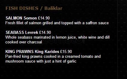 Menu at Efes pub & bar, Manchester