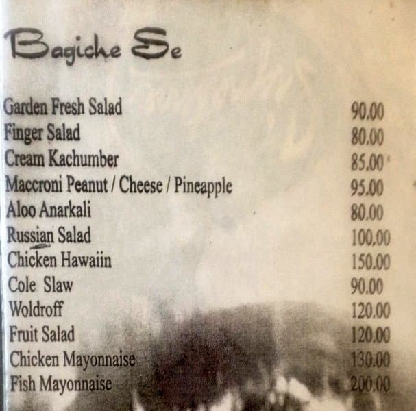 Menu at Hill View Restaurant, Panchkula, SCO 15