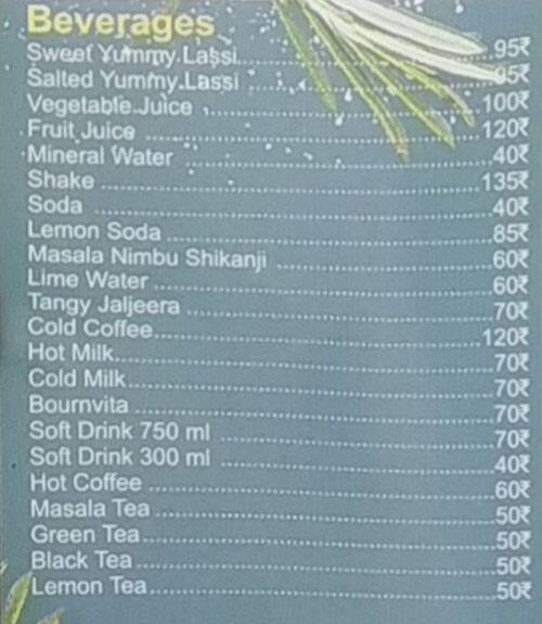 Menu at The Chinese Kitchen, Gwalior