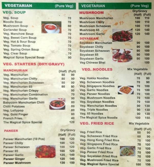 Menu at The Magical Spice, Pimpri-Chinchwad