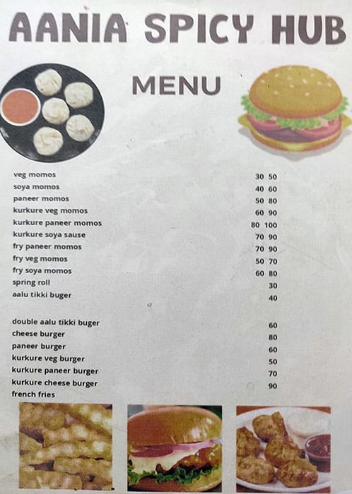 Menu of Aania Spicy Hub, Geeta Colony, New Delhi