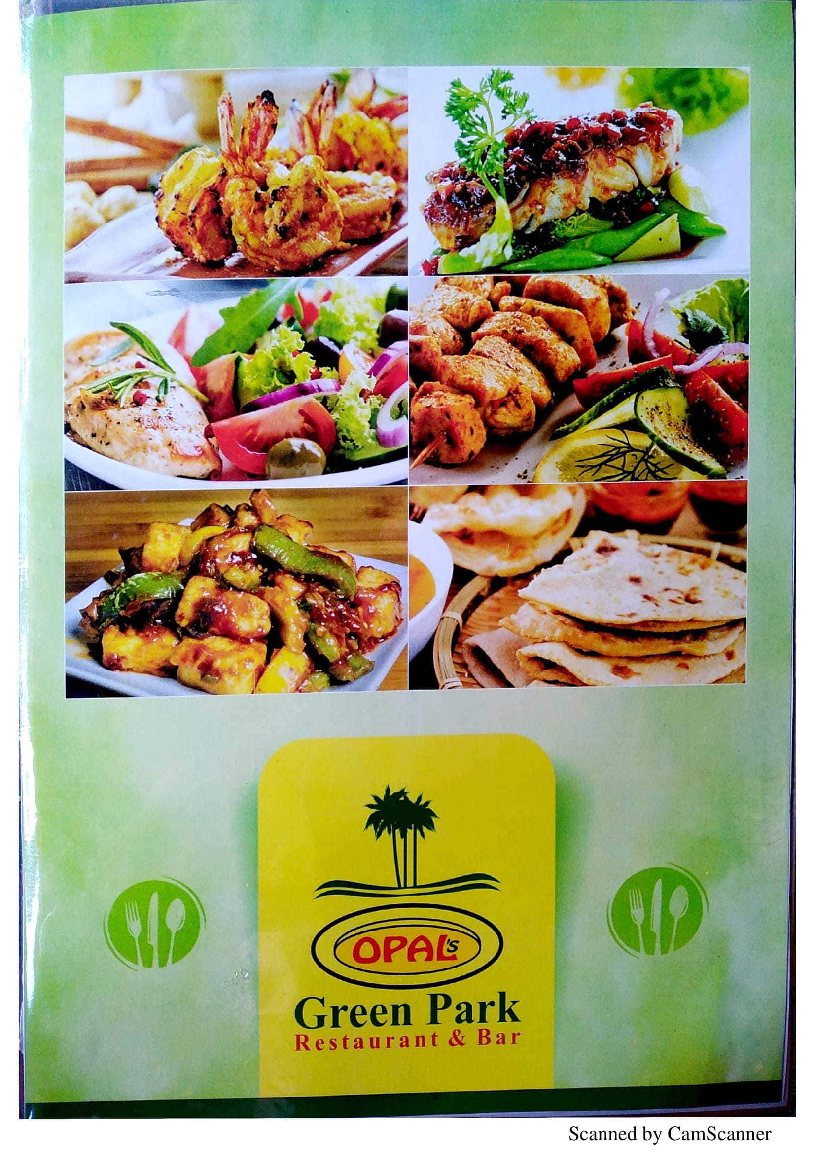 Menu at Hotel Green Park, Aurangabad, V9G4+P9M