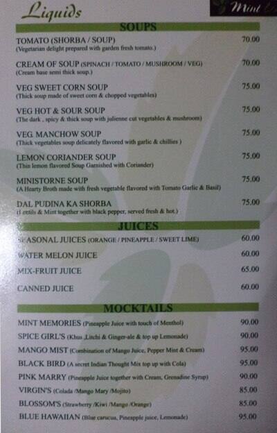 Menu at Hotel Mint Leaf, Indore, Tejpur Gadbadi Bridge