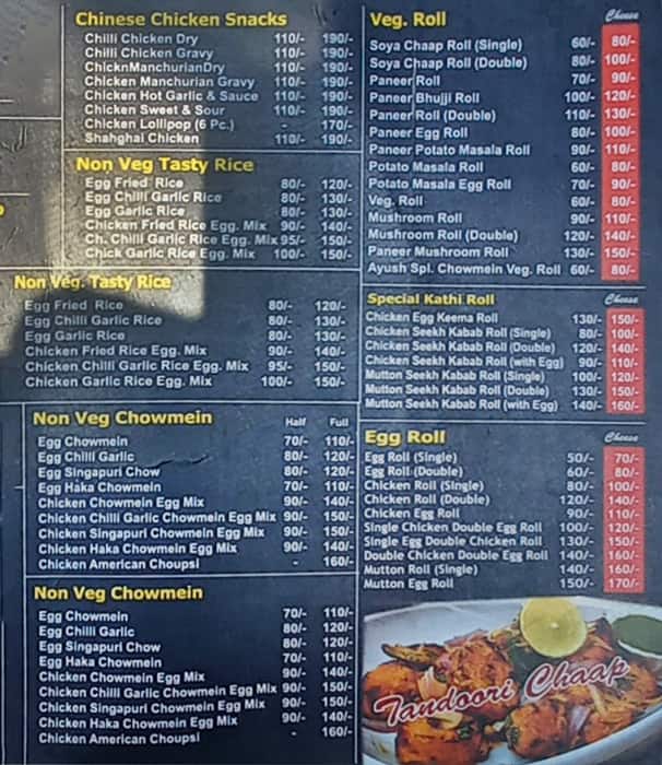 Menu of Aayush Kathi Roll, Palam, New Delhi