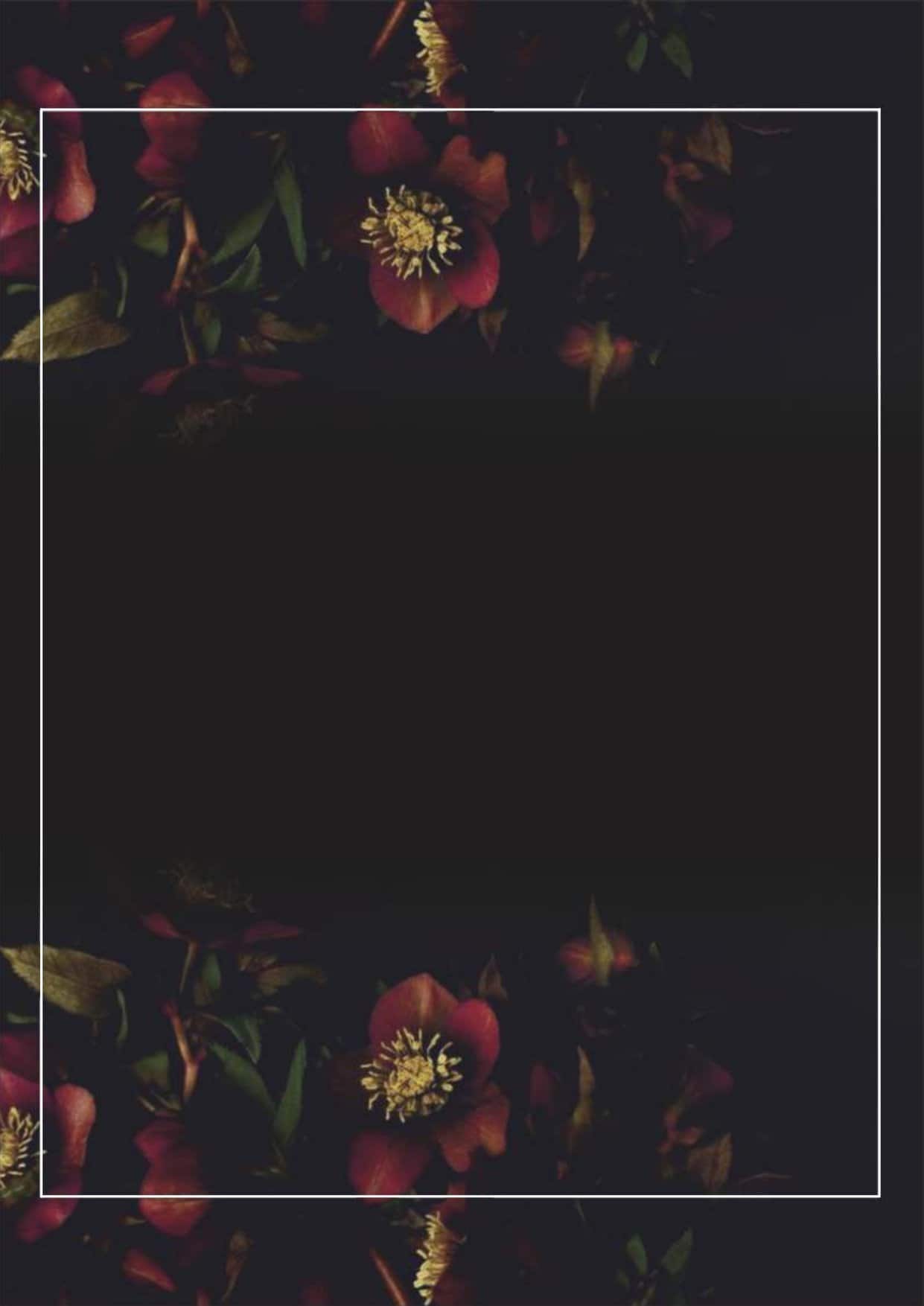 Menu at Kaizen Café Restaurant & Bar, Dehradun