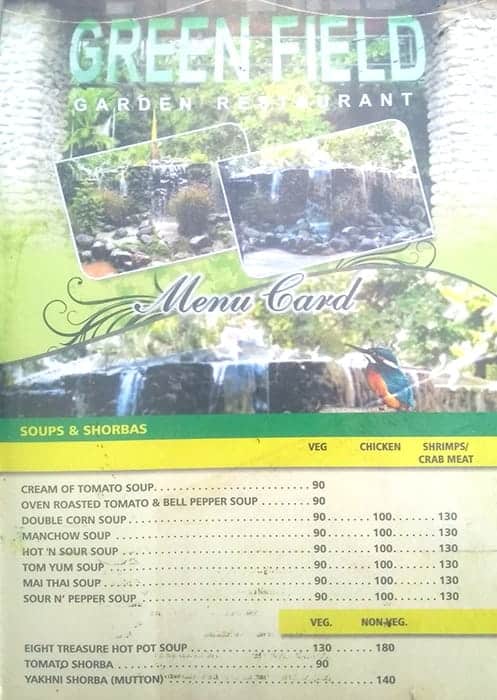 Menu of Green Field Resto Bar, Sinhgad Road, Pune