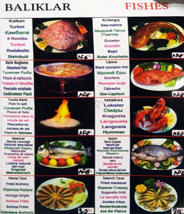 Menu at Beyoğlu Mer Balık, Istanbul
