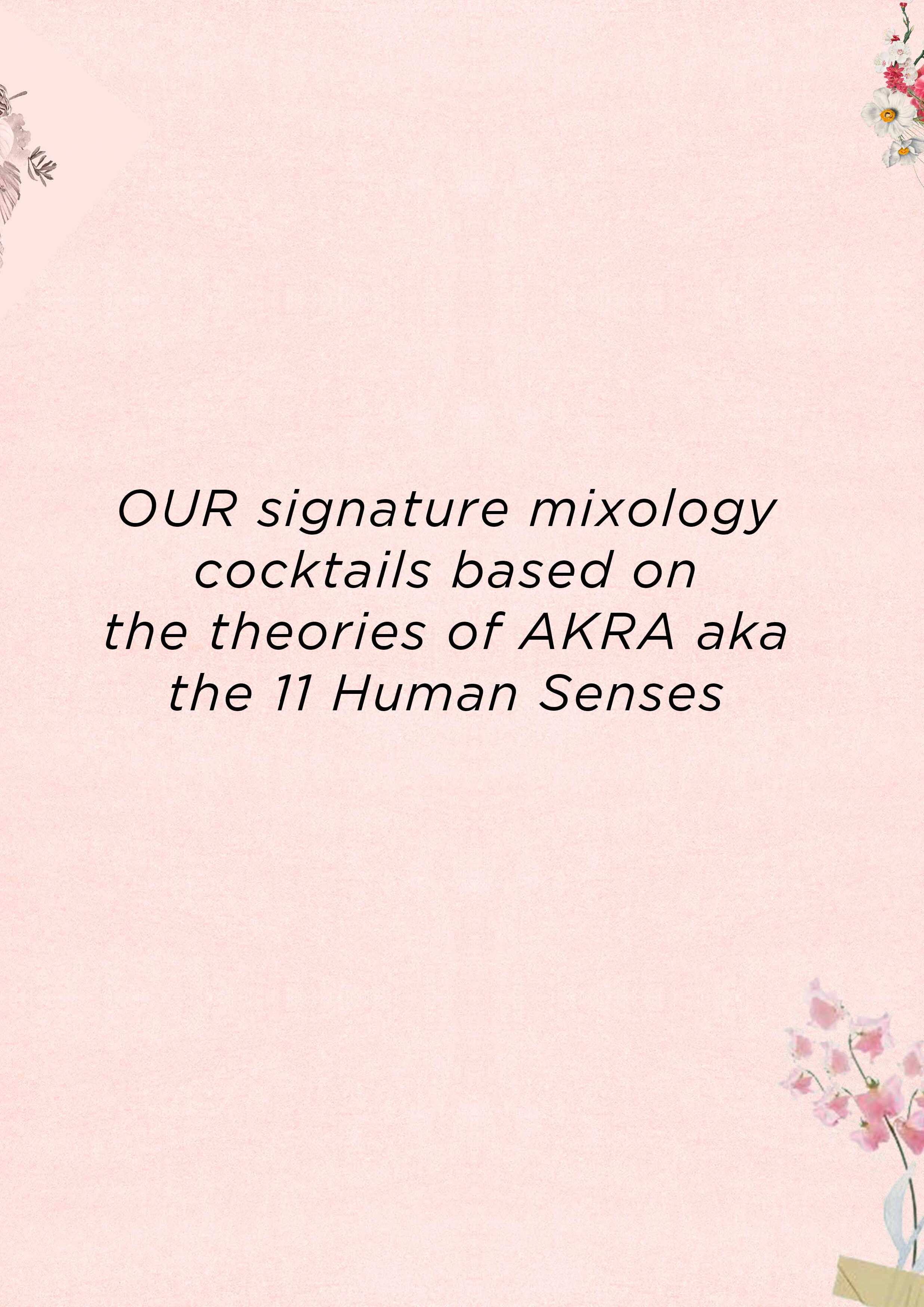 Menu of Akra, Lajpat Nagar 3, New Delhi