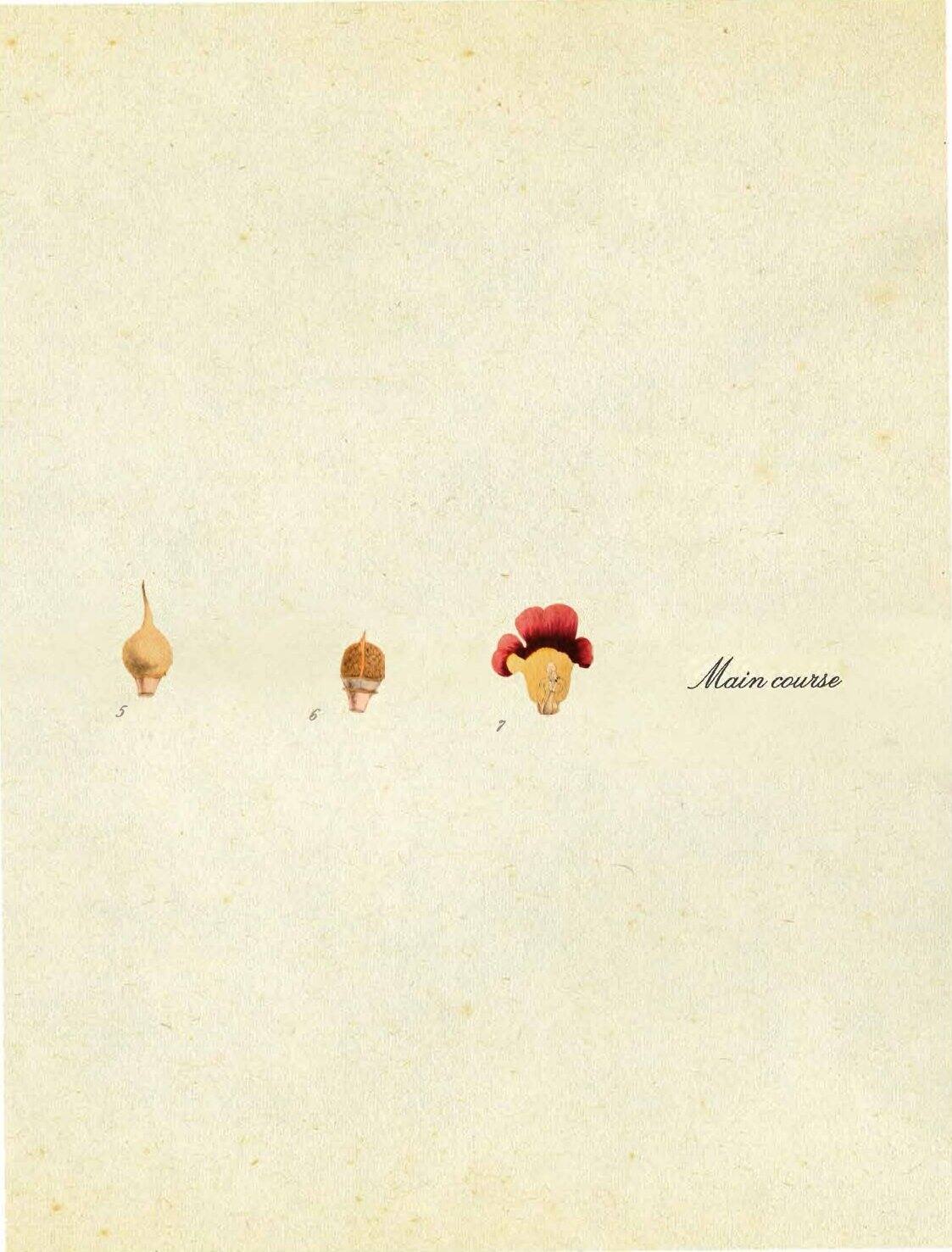 Menu at Bunga Rampai pub & bar, Jakarta, Jl. Teuku Cik Ditiro no. 35