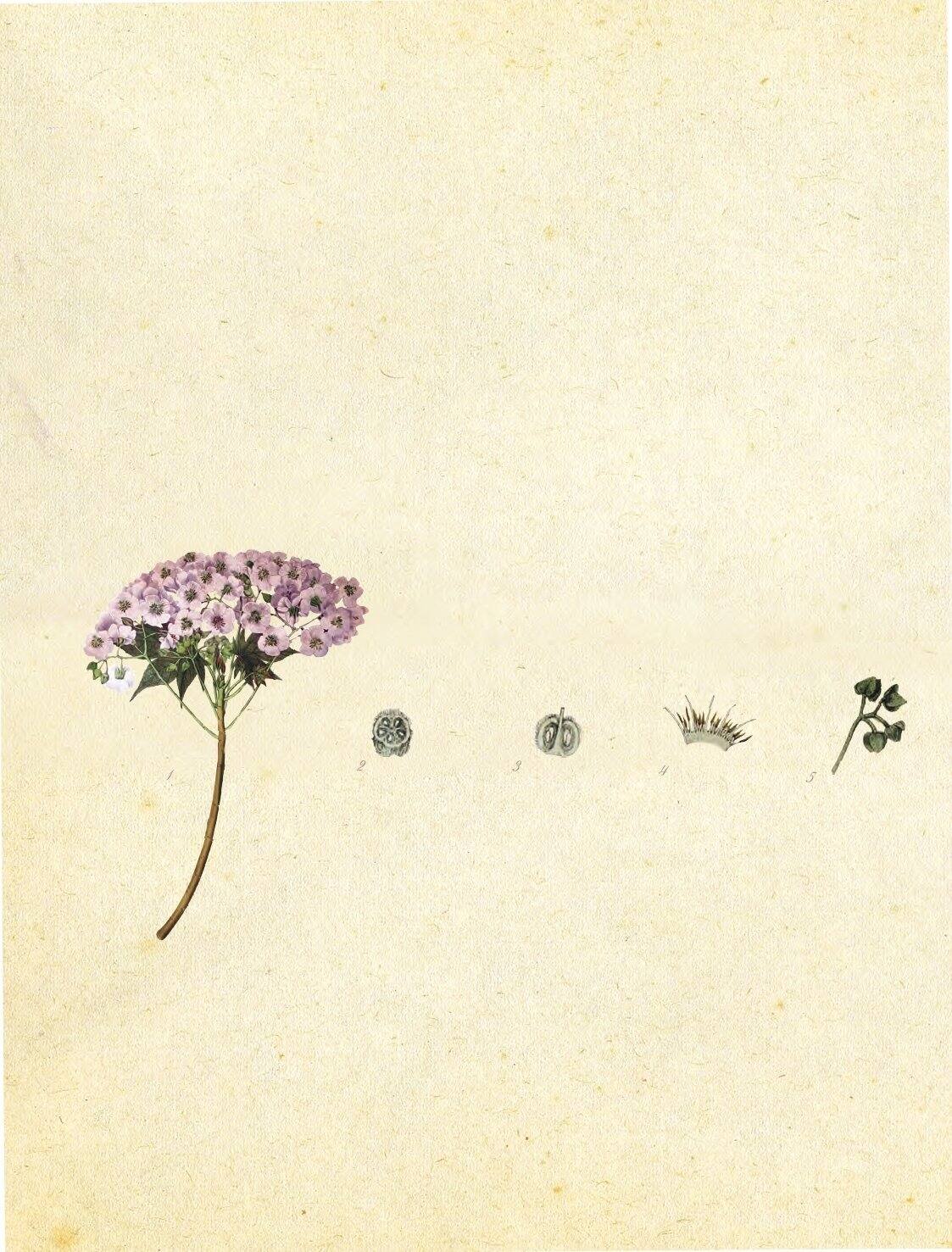 Menu at Bunga Rampai pub & bar, Jakarta, Jl. Teuku Cik Ditiro no. 35