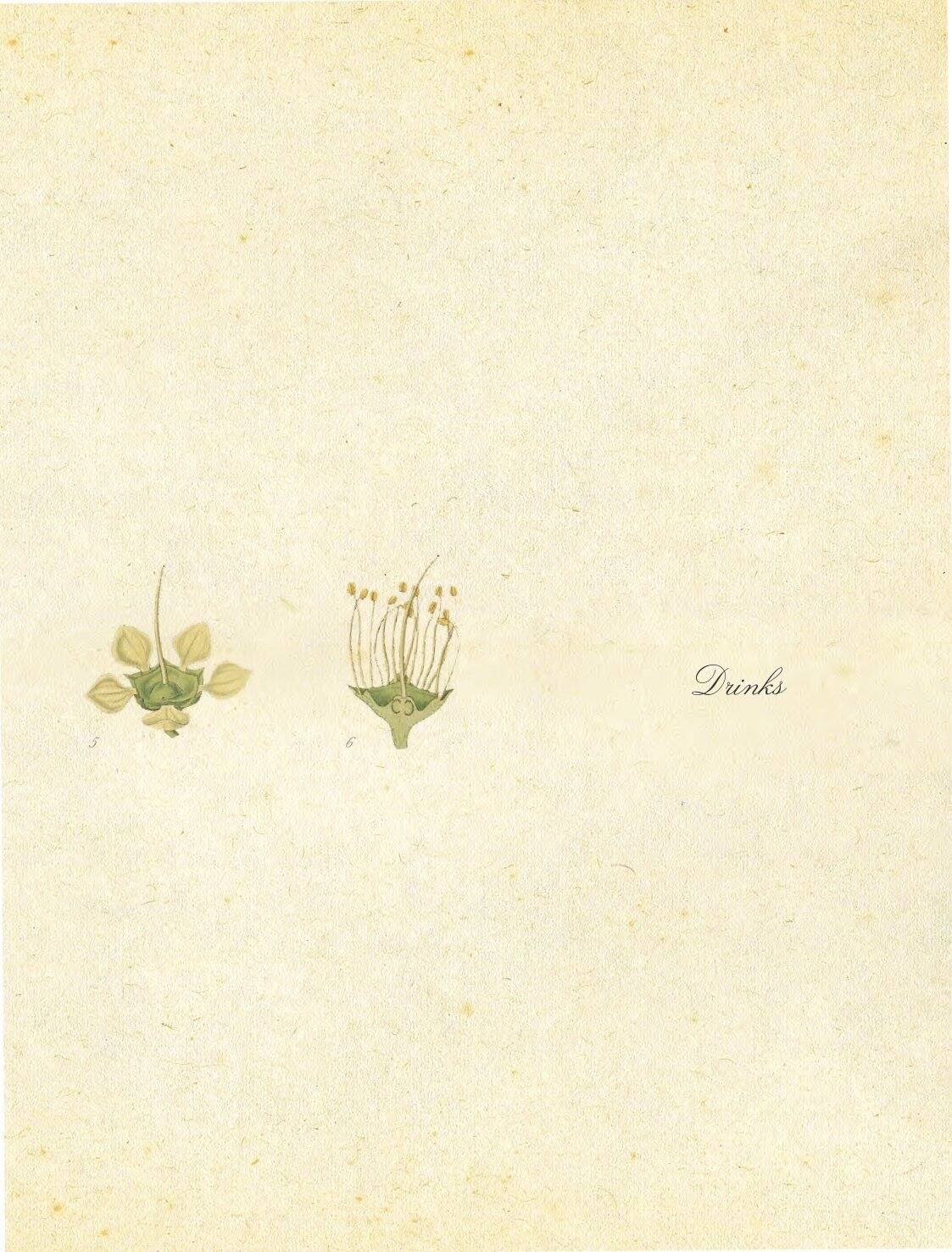 Menu at Bunga Rampai pub & bar, Jakarta, Jl. Teuku Cik Ditiro no. 35