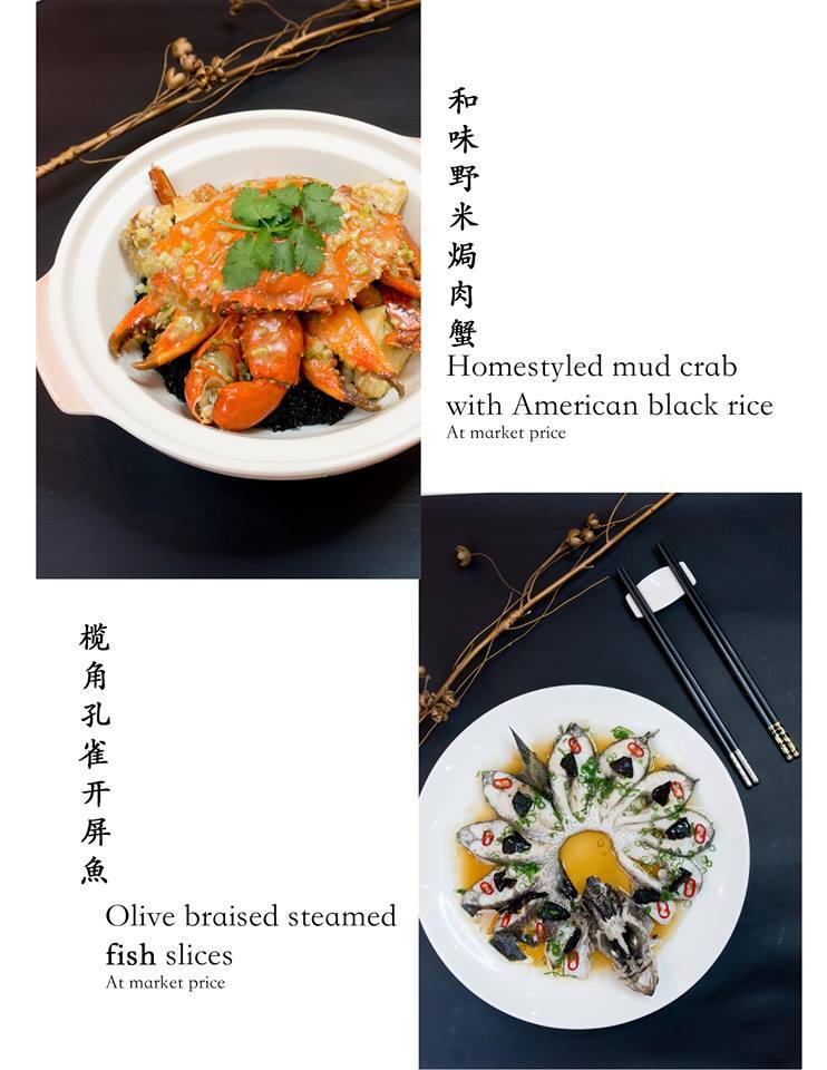 Menu at Taste of Shunde restaurant, Kogarah