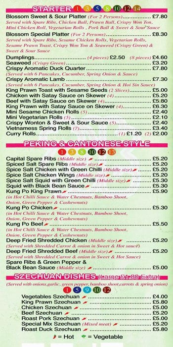 Menu at Blossom Garden fast food, London, 515 Abbey Wood Rd