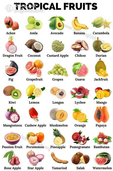 Menu of Nisa Juice Shop, Old Panvel, Navi Mumbai