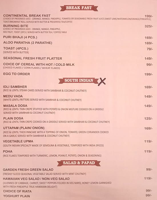 Menu of The Burning Bites, Amer, Jaipur