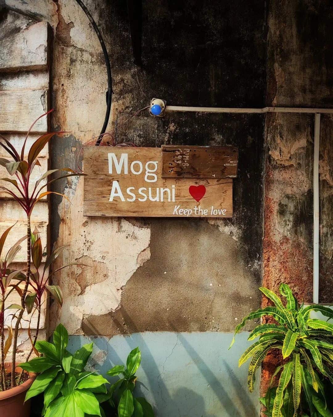 Joseph Bar, Panaji, Goa | Zomato