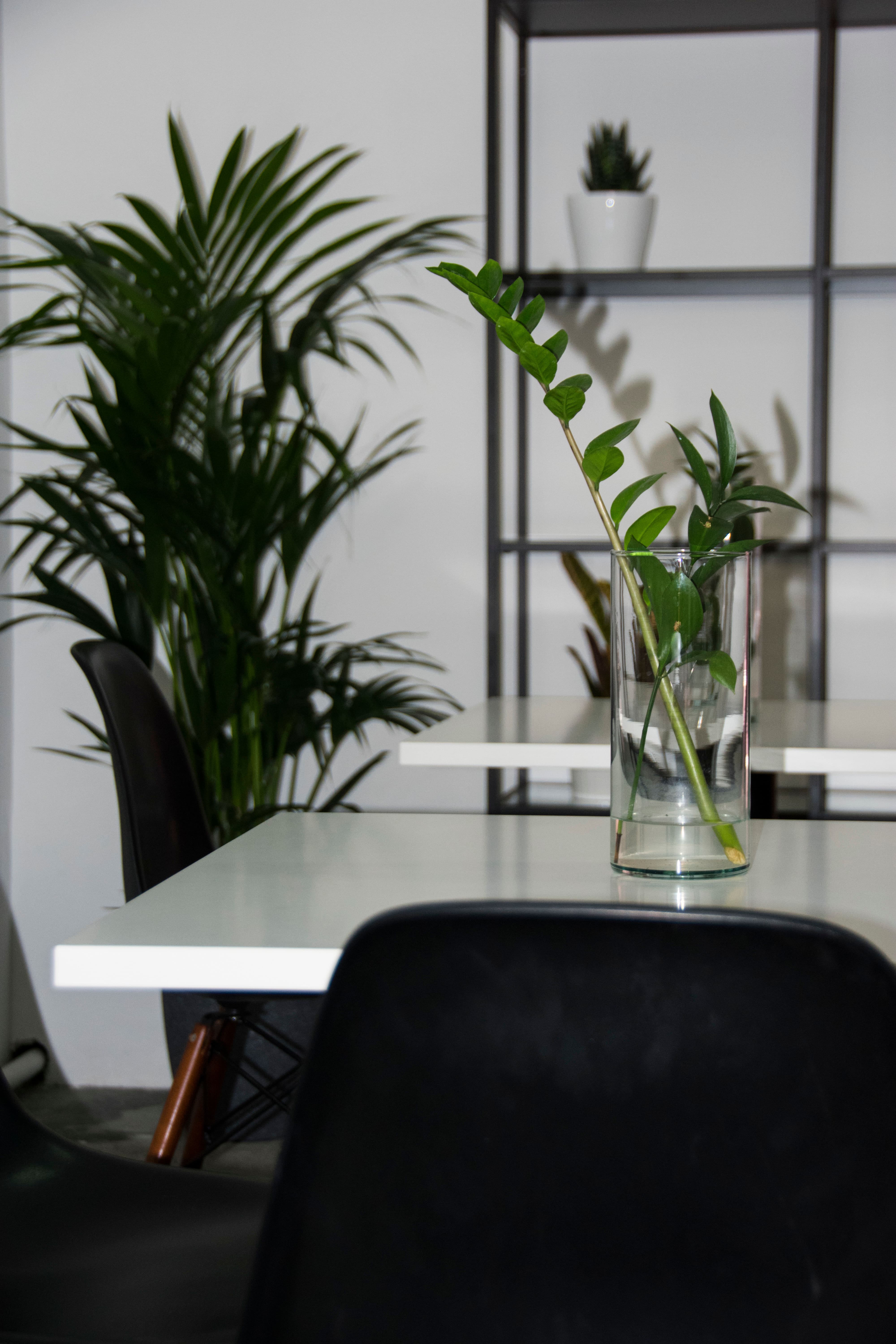 Avantcha Tea, Al Quoz, Dubai | Zomato