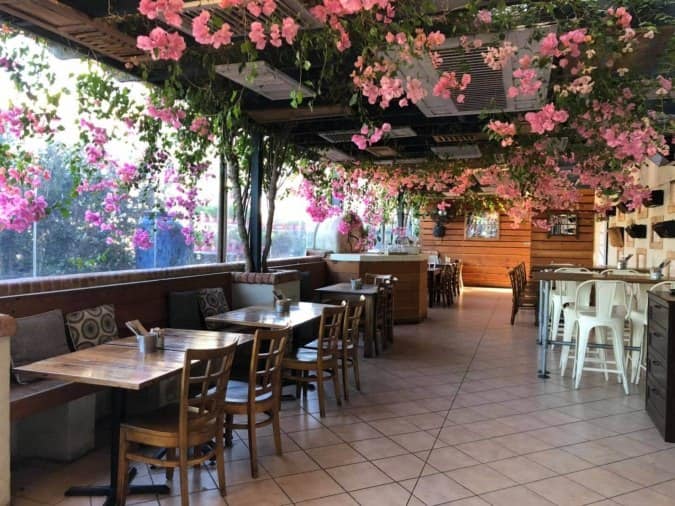 Flower Power Penrith Cafe | Best Flower Site