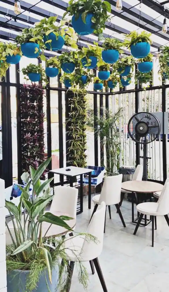 Roast The Caffeine Capital, Hitech City, Hyderabad | Zomato