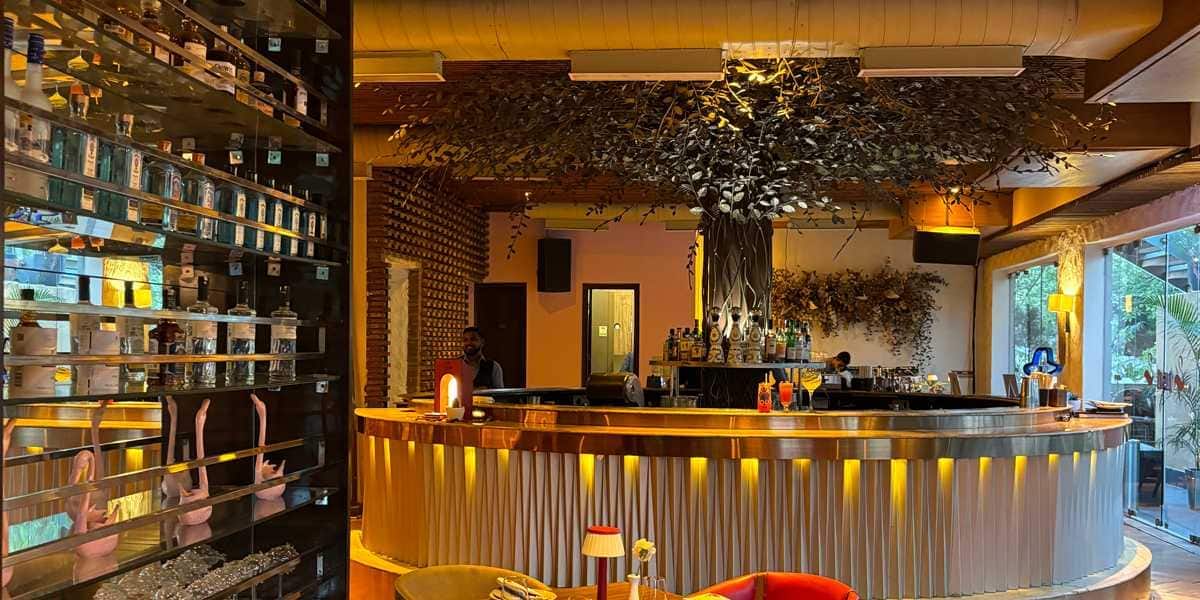 Swan, Mehrauli, New Delhi | Zomato