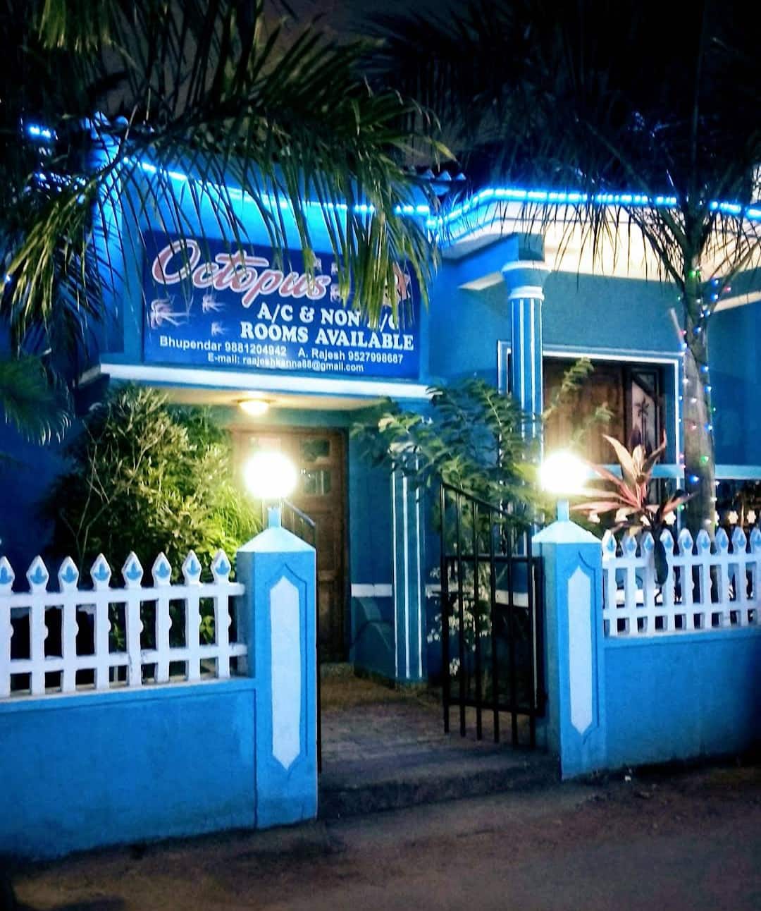 Octopus Bar & Restaurant, Calangute, Goa | Zomato