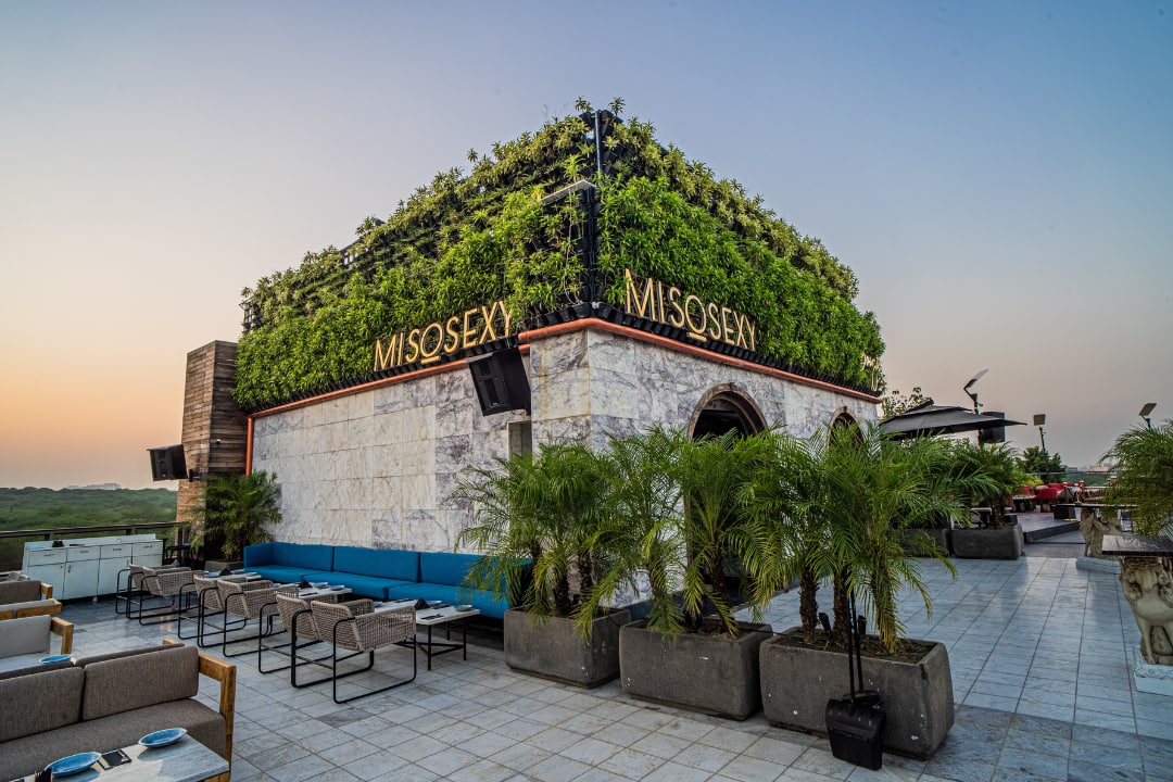 MisoSexy, Mehrauli, New Delhi | Zomato