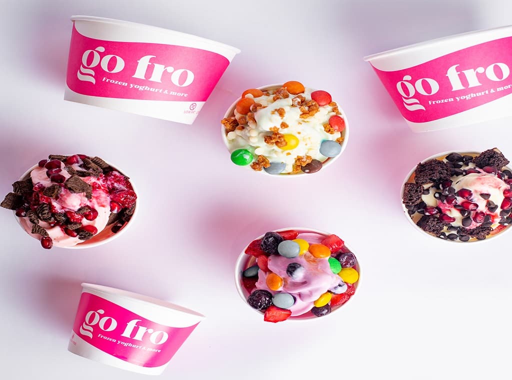 Go Fro-Frozen Yogurt & More, Netaji Subhash Place order online - Zomato