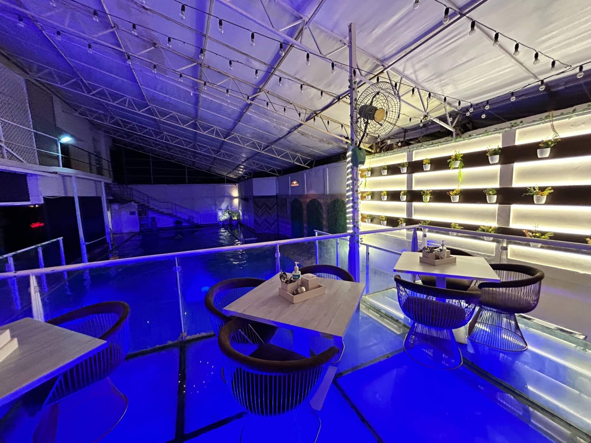 Oracle Sky Bar & Lounge, Hill Road, Bandra West, Mumbai | Zomato
