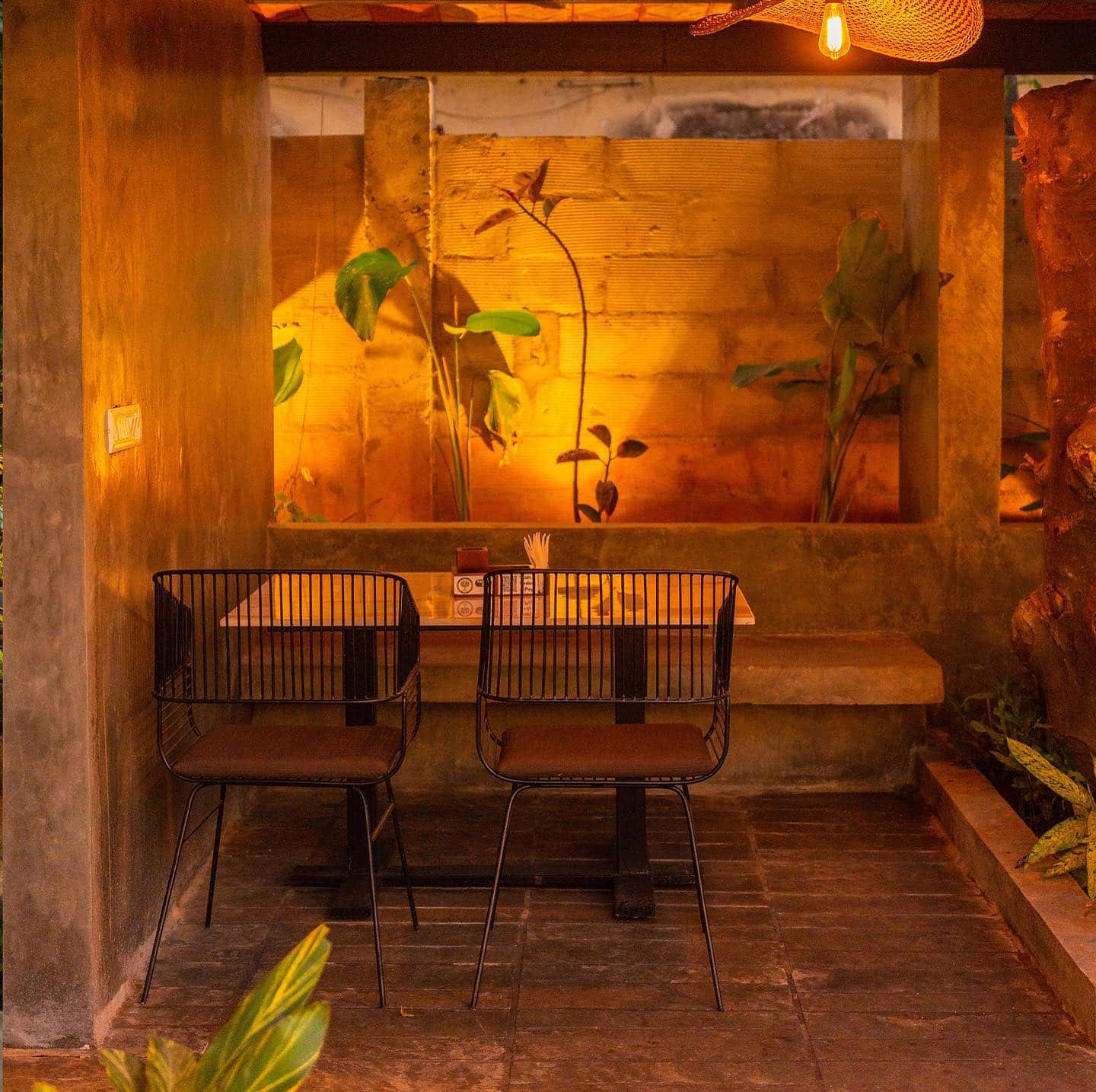 Old Trees Cafe, Kompally, Hyderabad | Zomato