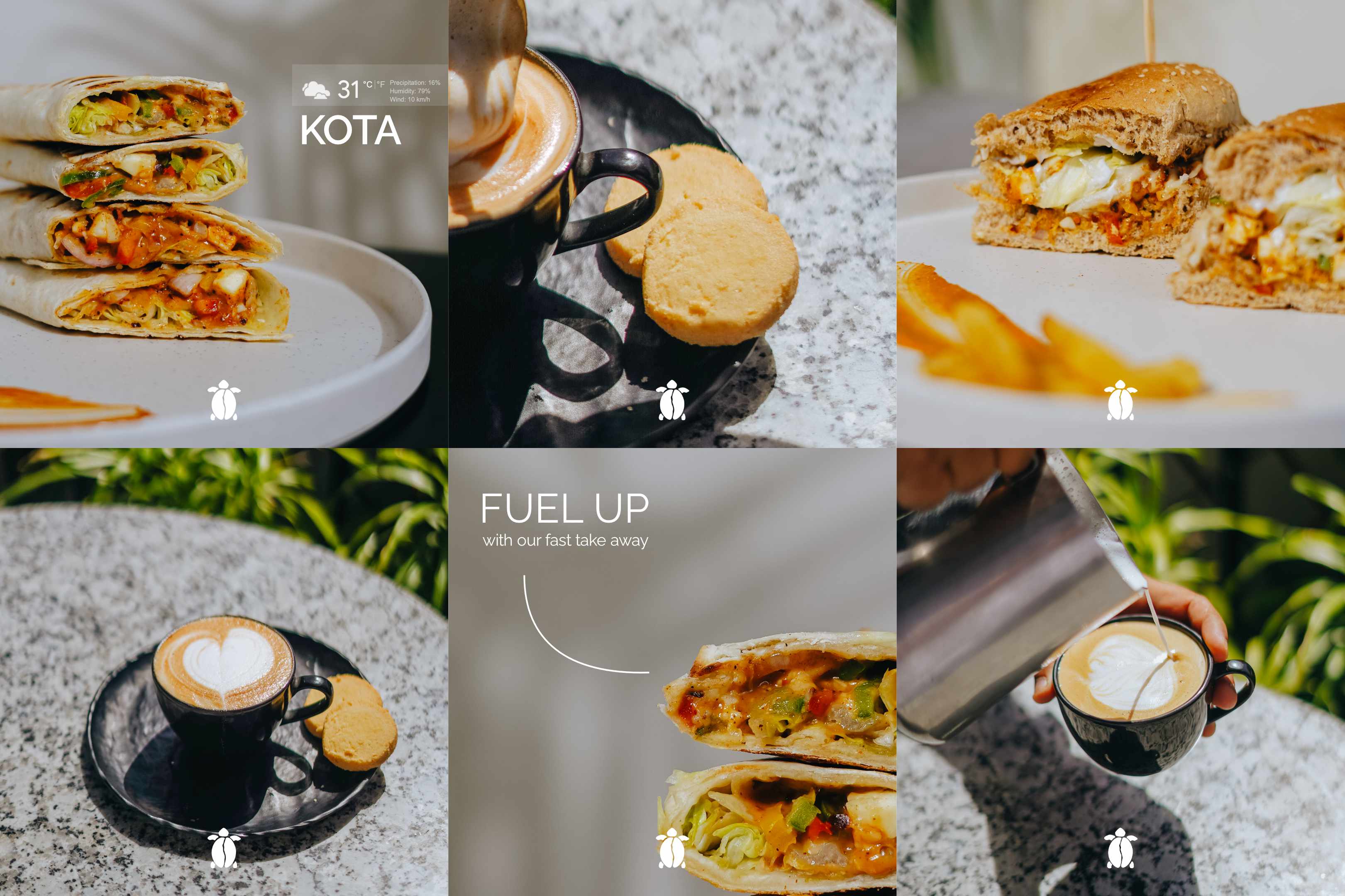 White Turtle Coffee Roasters, Ana Sagar Lake, Ajmer | Zomato