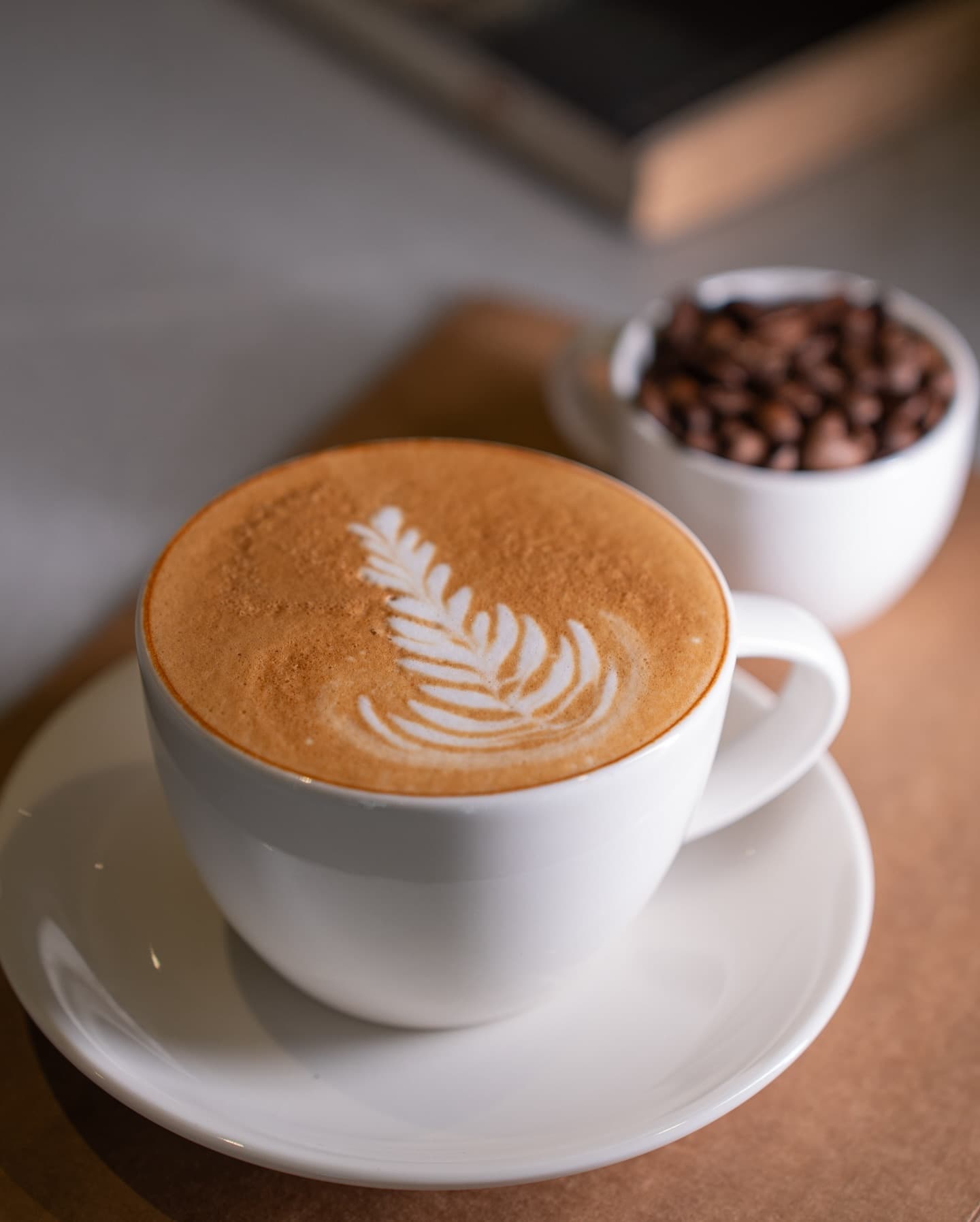 Shelter By Javaphile Cafe, Versova, Andheri West order online - Zomato