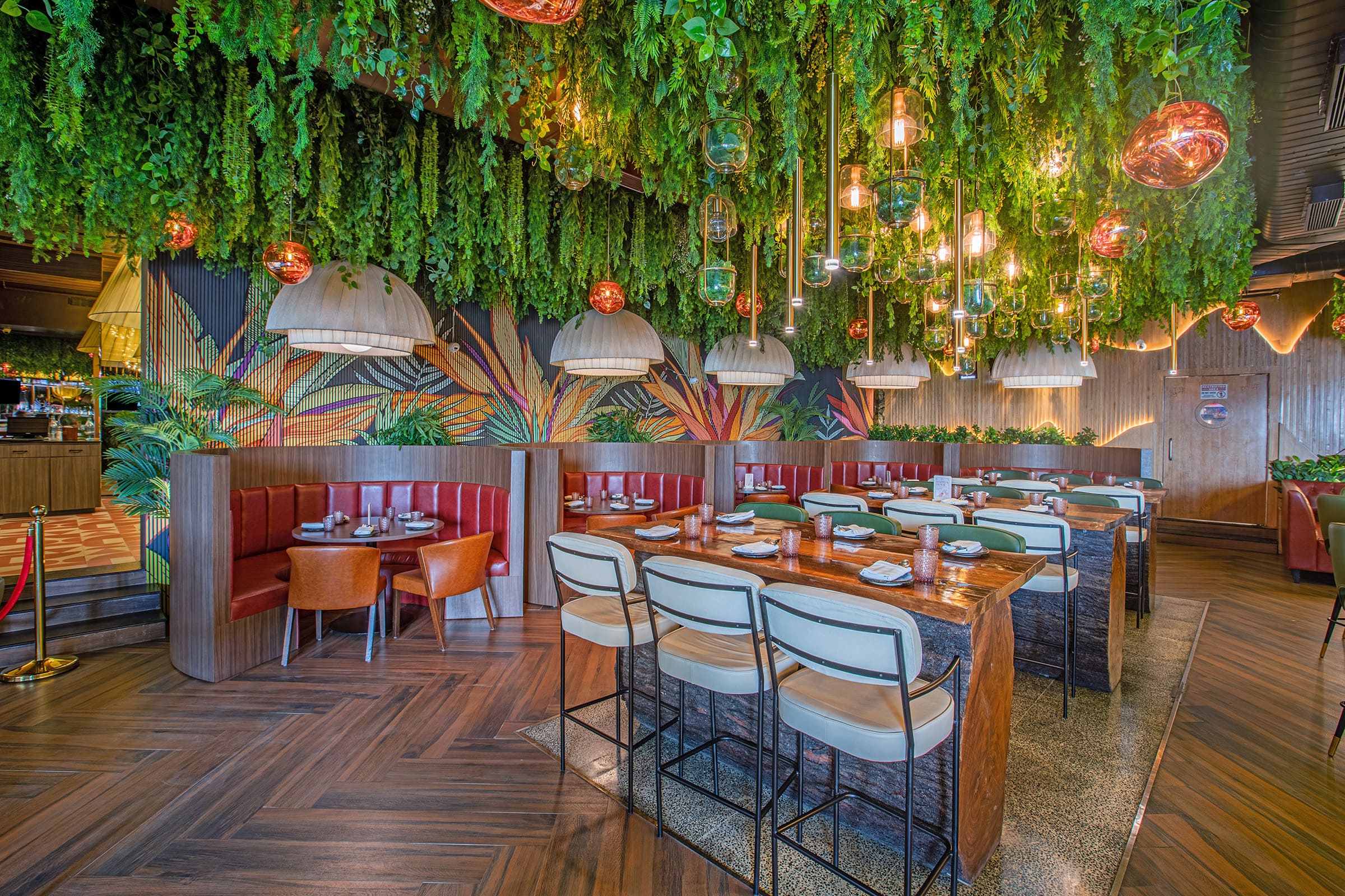 Farzi Cafe, Habib Ganj, Bhopal | Zomato