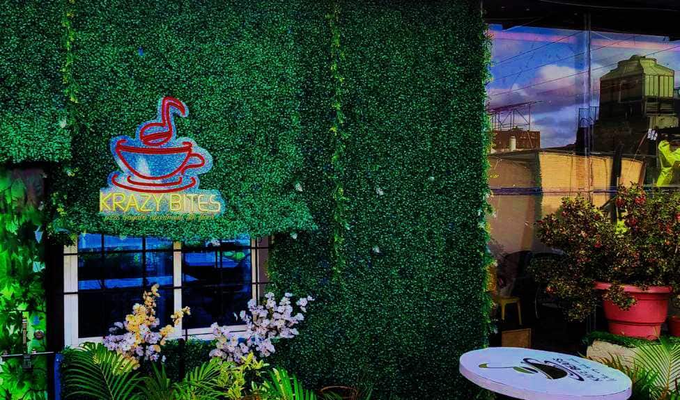 Krazy Bites, Maharana Pratap Nagar, Bhopal | Zomato