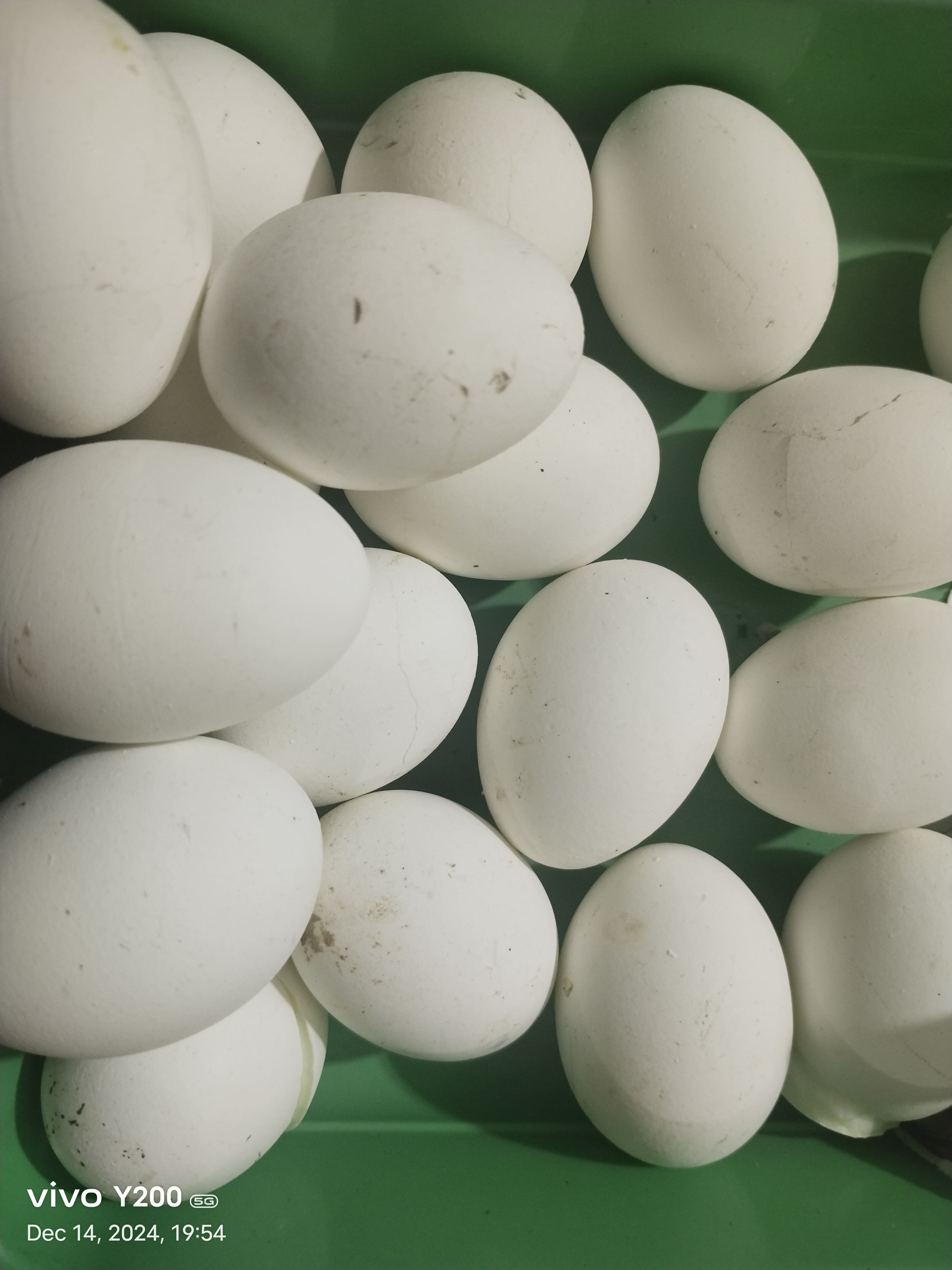 Menu of Sri Shivnath North Indian Hotel, Bannerghatta Road, Bangalore