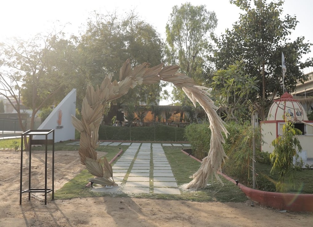 Afro House, Thaltej, Ahmedabad | Zomato