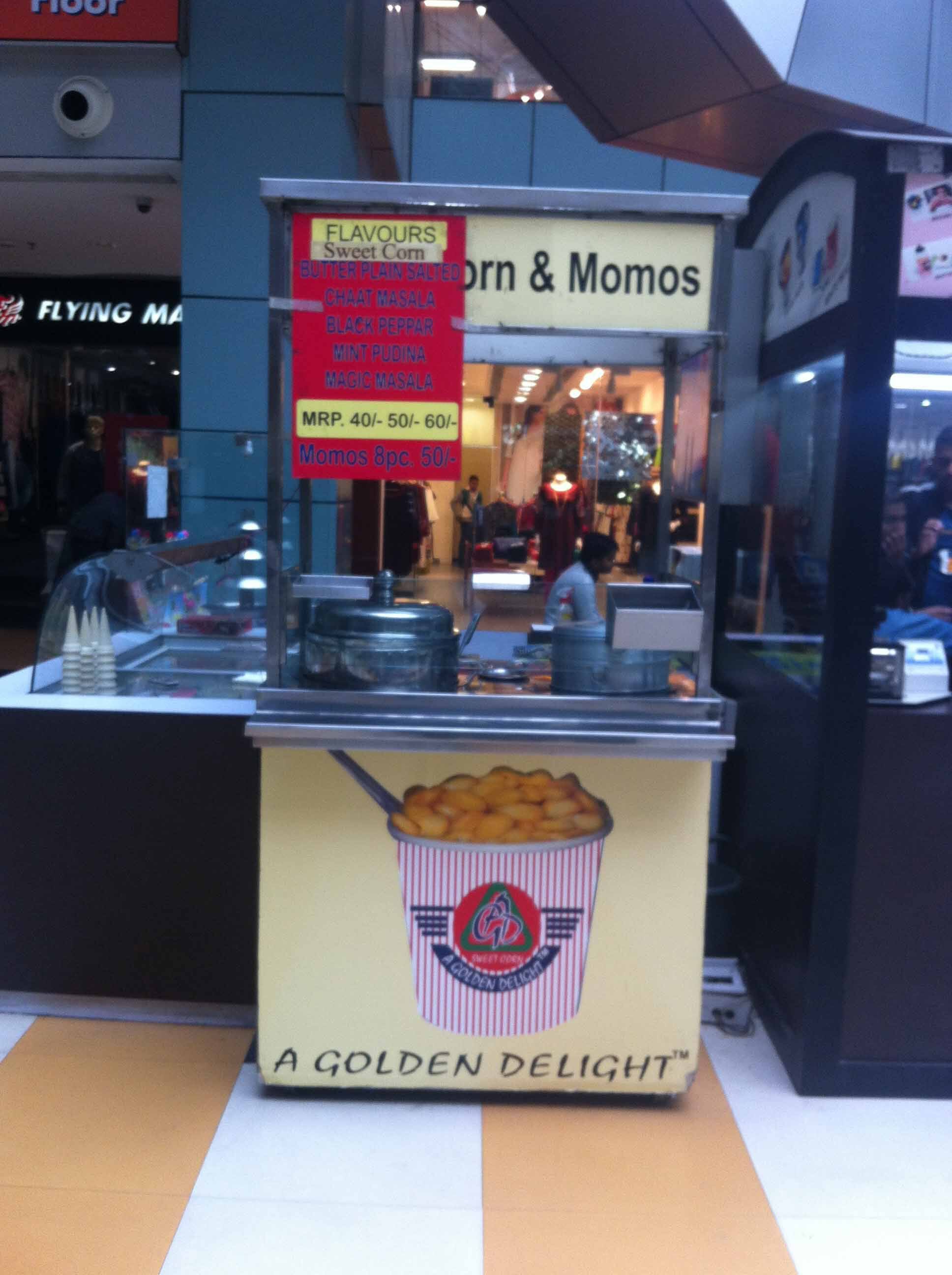 Menu of A Golden Delight, Knowledge Park, Greater Noida