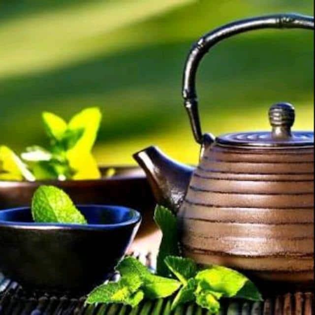 Paapi Pet, Dharampeth, Nagpur | Zomato