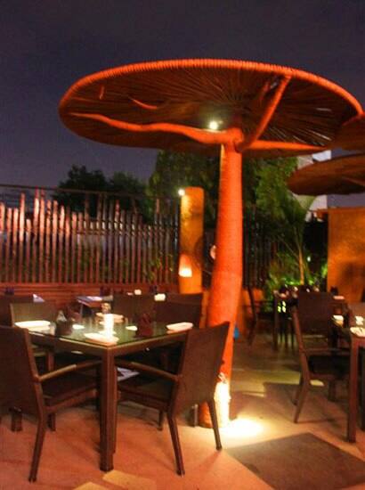 Bonobo Photos, Pictures of Bonobo, Kenilworth Mall, Linking Road ...