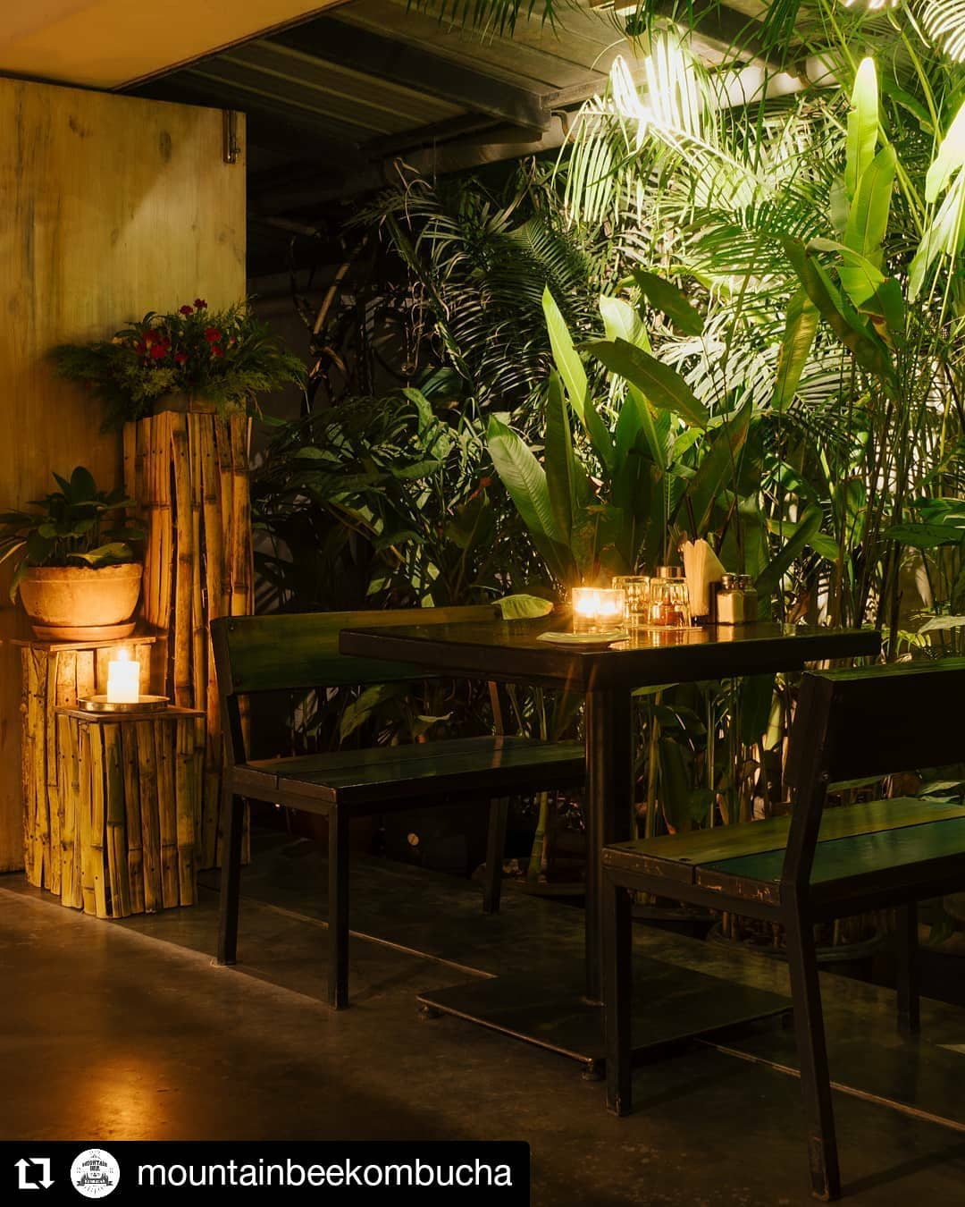 Phobidden Fruit, Indiranagar, Bangalore | Zomato