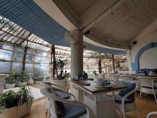 Olive Bar & Kitchen, Vagator, Goa | Zomato