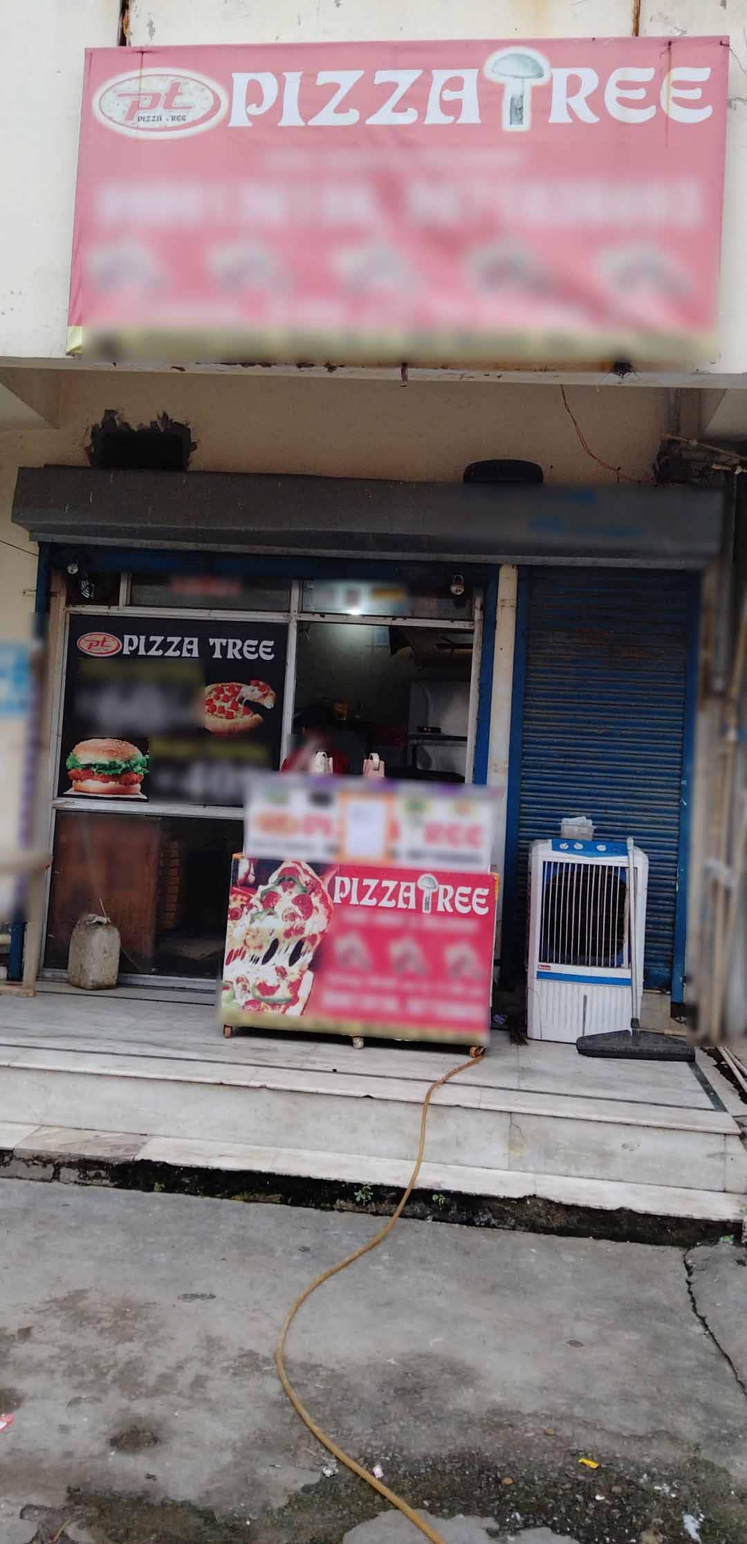 Pizza Tree, Sector 51, Noida | Zomato