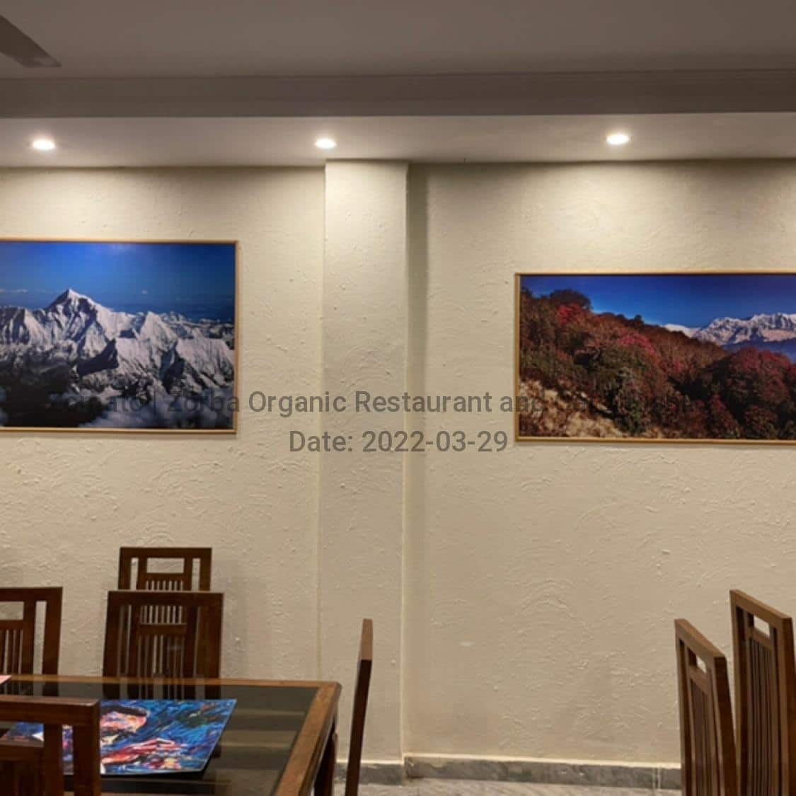 Zorba Organic Restaurant and Cafe, Tapovan, Rishikesh | Zomato