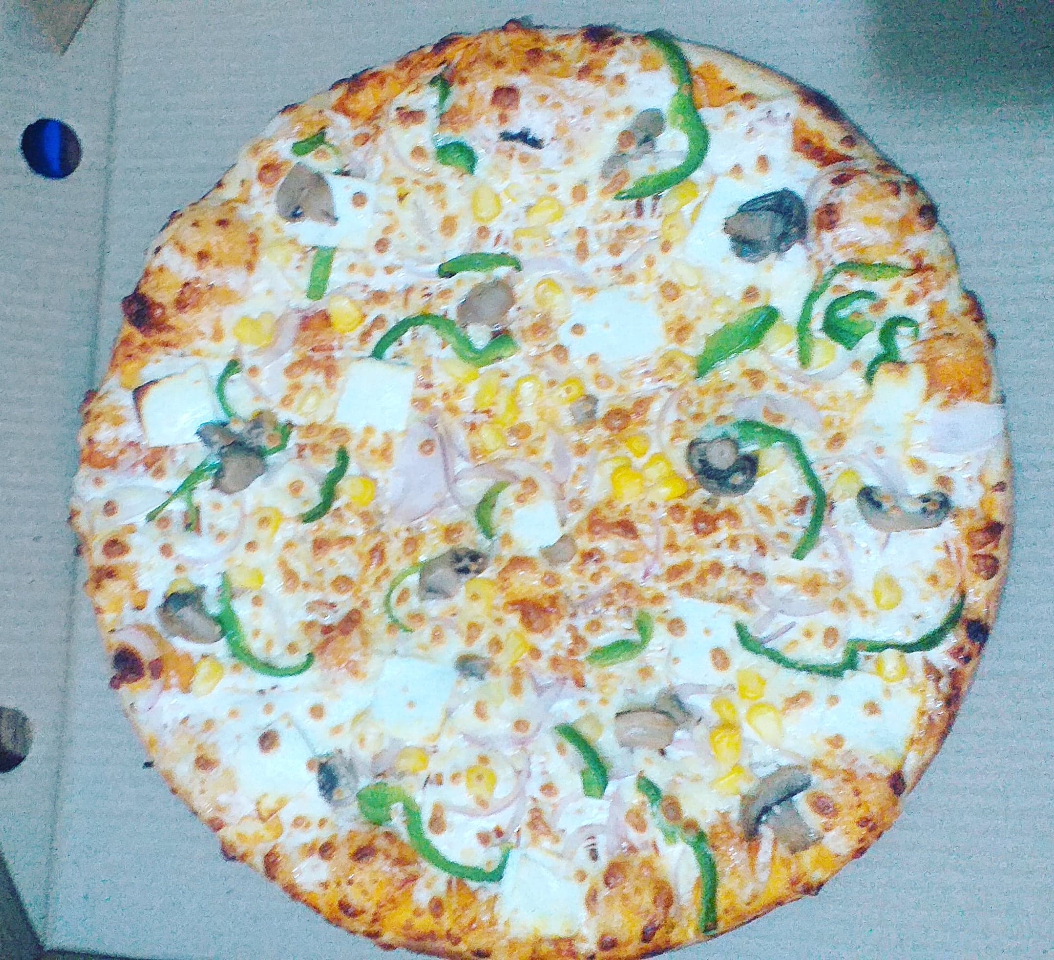 Delux Bite Pizza, TDI City, Mohali | Zomato