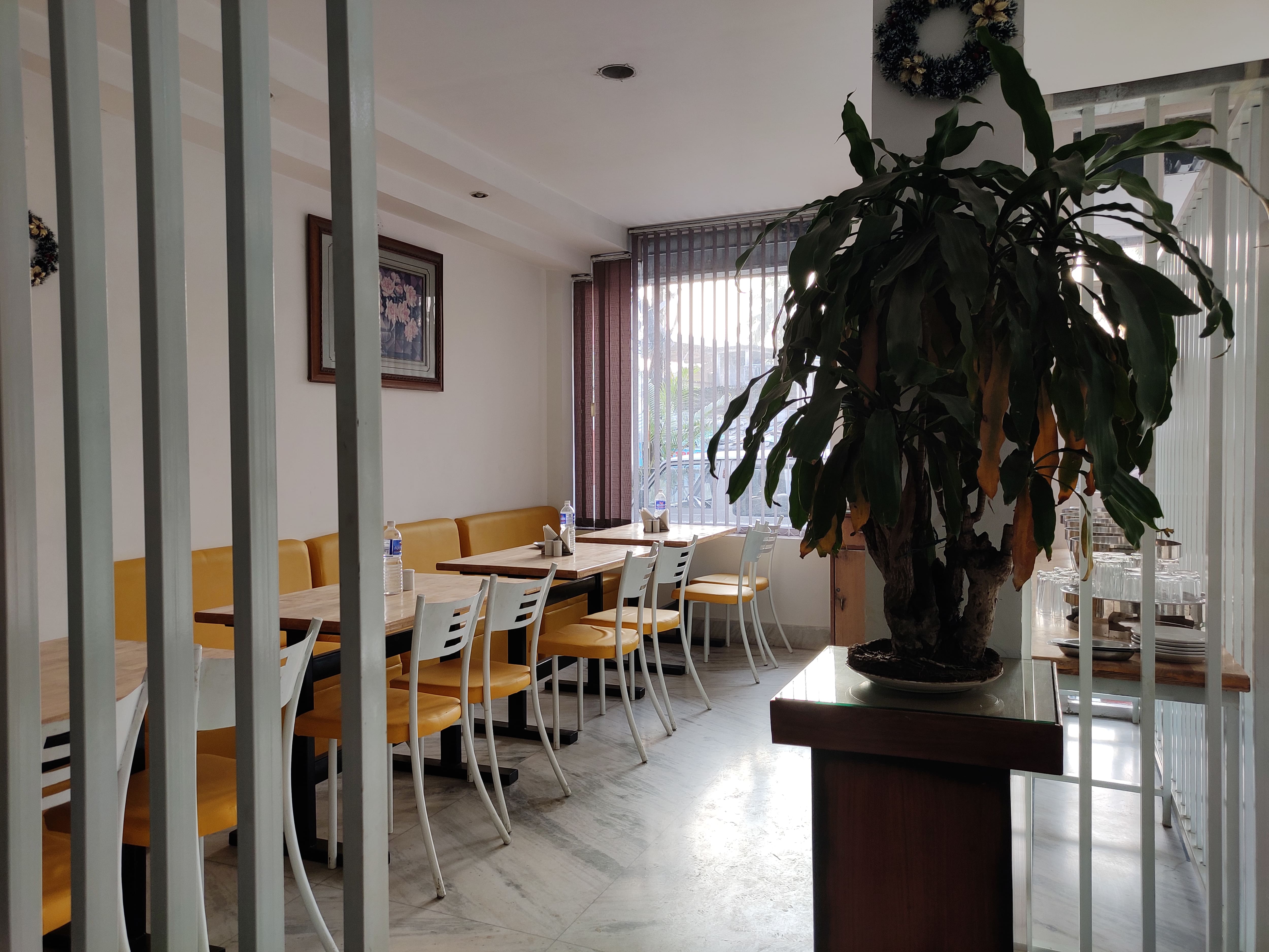 The Maple, Janta Nagar, Siliguri | Zomato