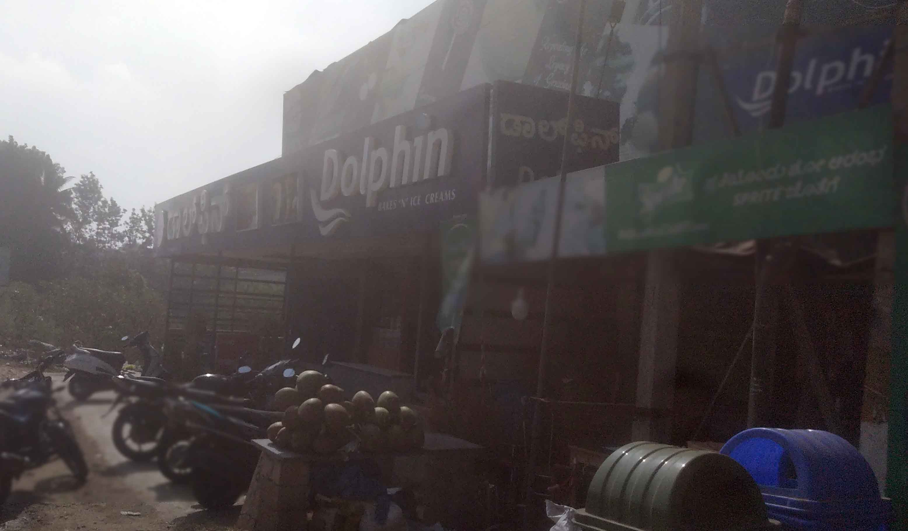 Dolphin Bakes N Ice Creams, Vijay Nagar, Mysore | Zomato
