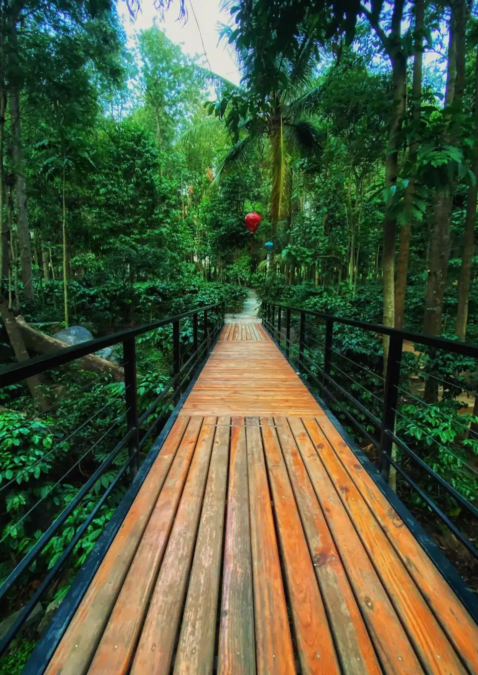Citrus Trail Farm & Kitchen, Bommasandra, Bangalore | Zomato