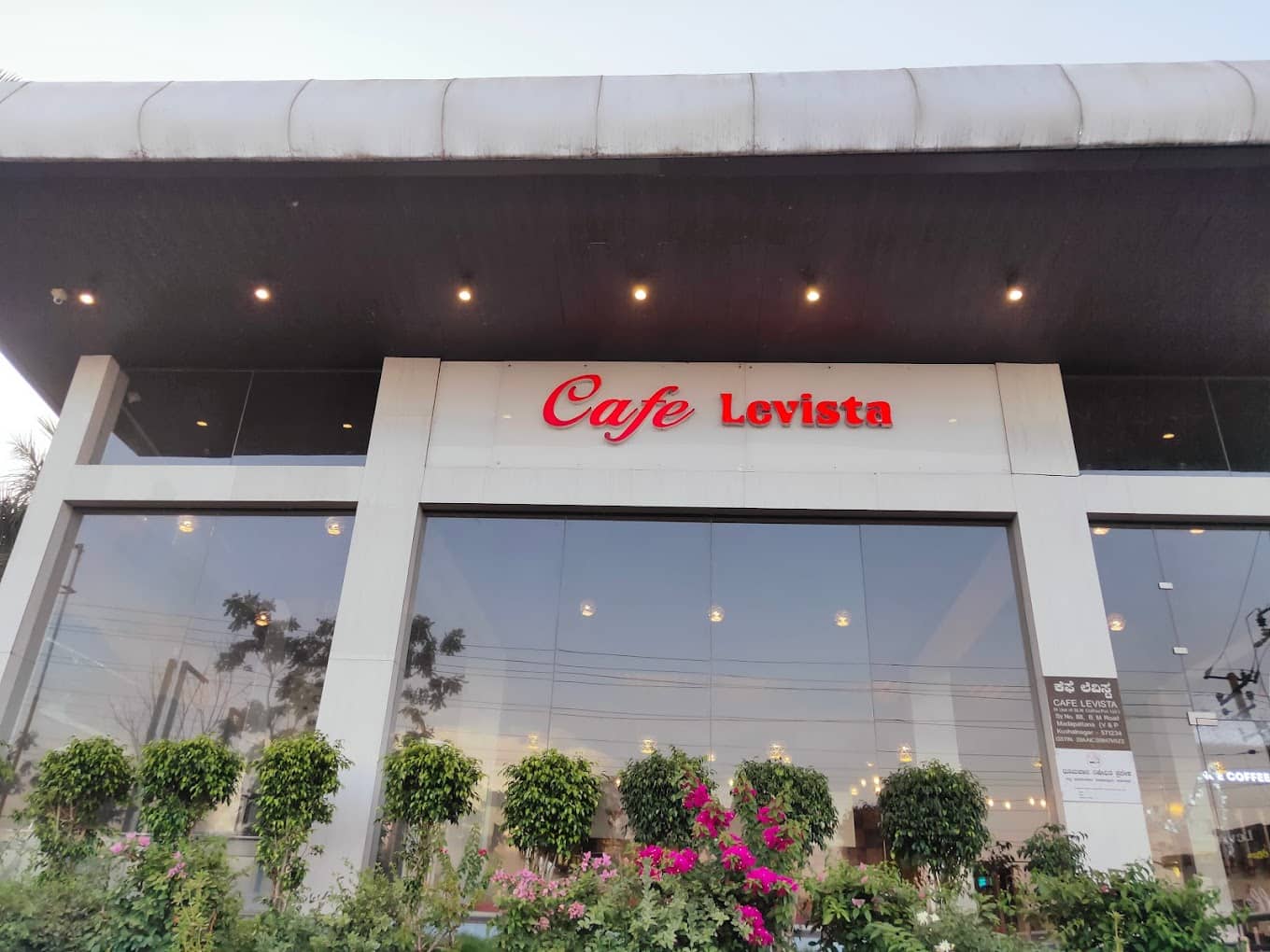 Cafe Levista, Majestic, Bangalore | Zomato